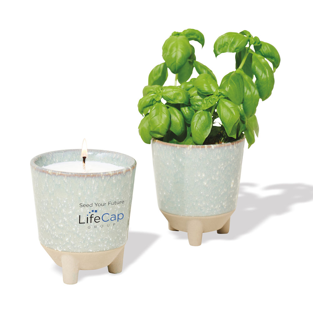 Modern Sprout Glow & Grow Gift Set | Custom Soy Blend Candle & Plant ...