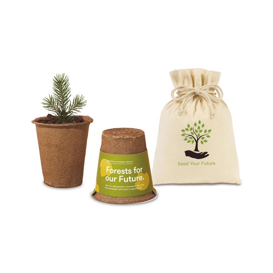 Modern Sprout One For One Tree Kits | Custom Tree Planting Kit by ...